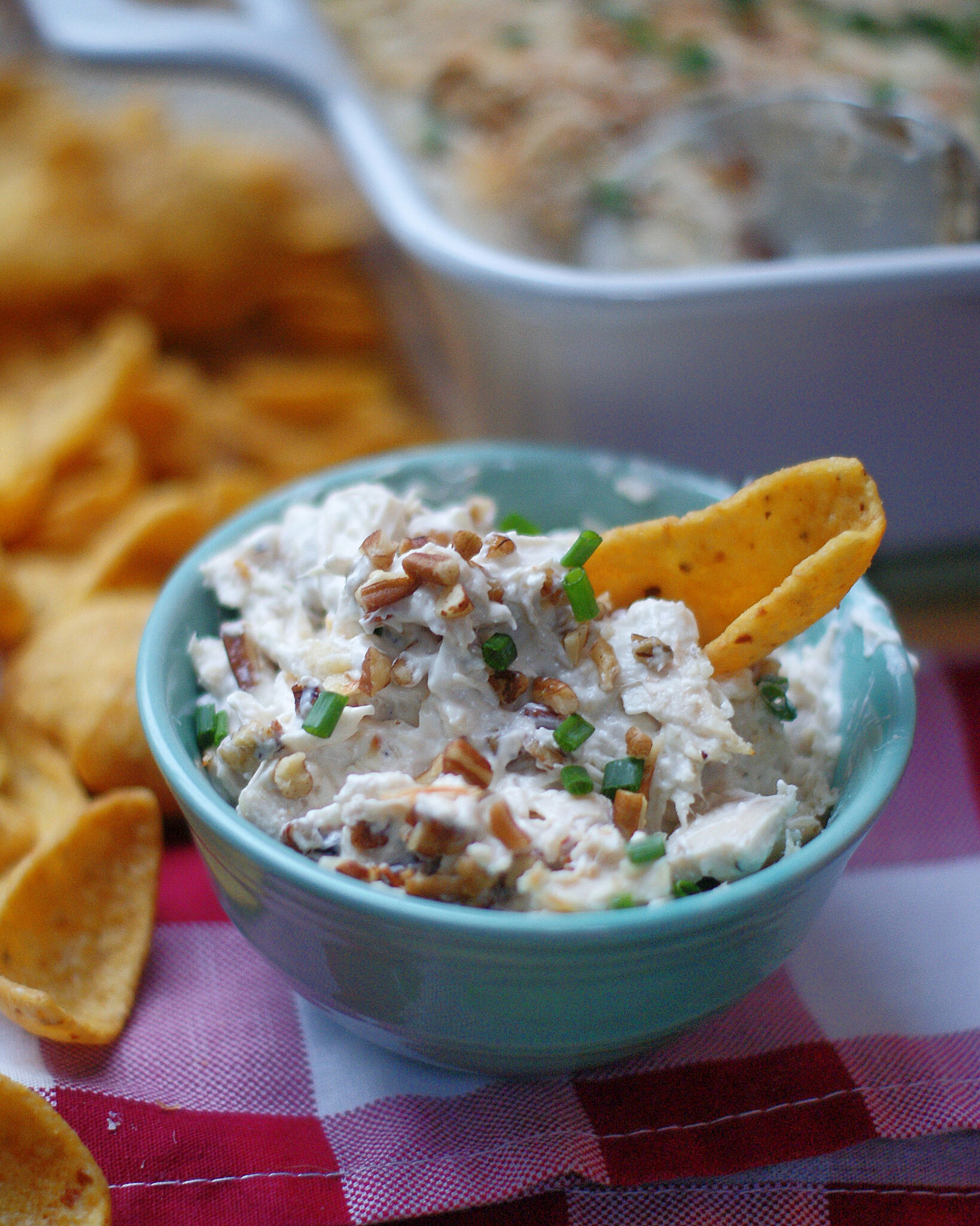 Ultimate Creamy Chicken Dip - Southern Discourse