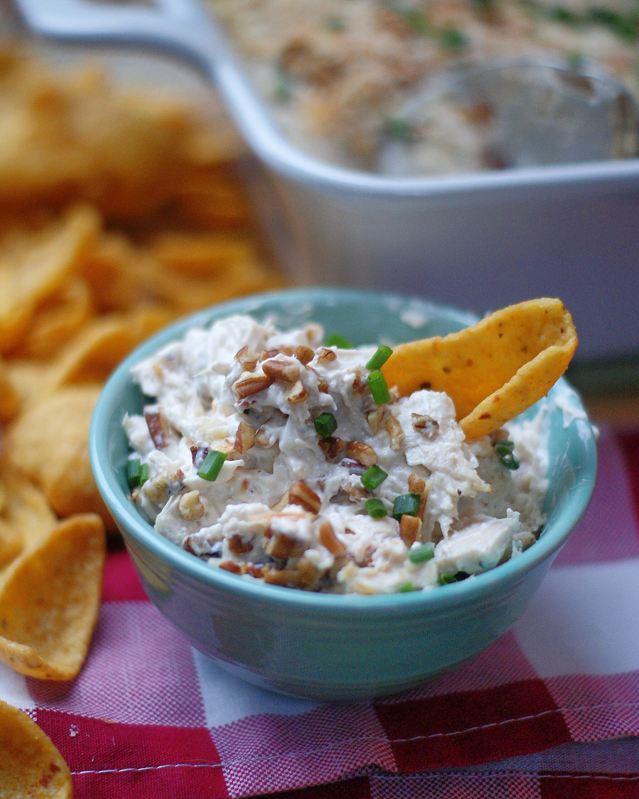 Ultimate Creamy Chicken Dip - Southern Discourse