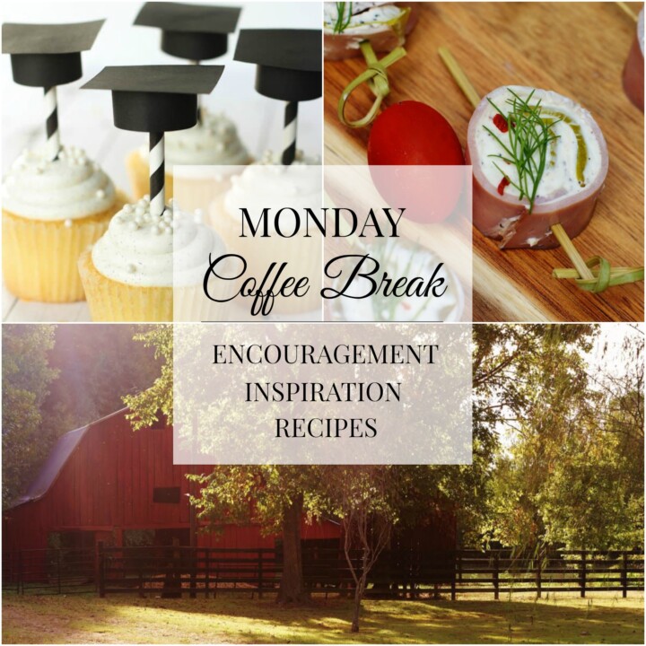 Monday Coffee Break #35 - Southern Discourse