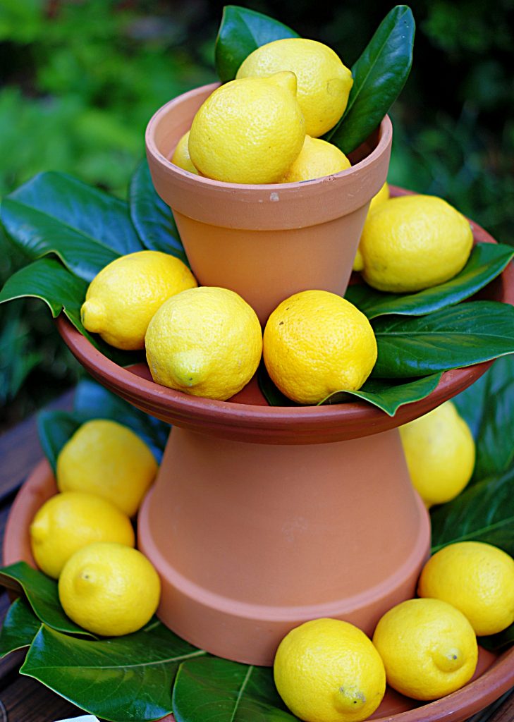 Easy Lemon Centerpiece in 5 Simple Steps - Southern Discourse