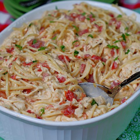 Rotel Chicken & Spaghetti - Southern Discourse