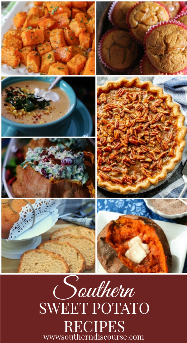 Saturday Seven- Southern Sweet Potato Recipes - Southern Discourse