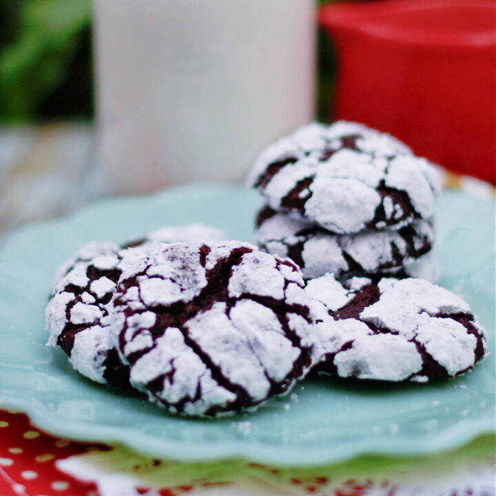 Fudgy Chocolate Crinkle Cookies - Southern Discourse