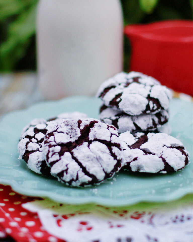 Fudgy Chocolate Crinkle Cookies - Southern Discourse