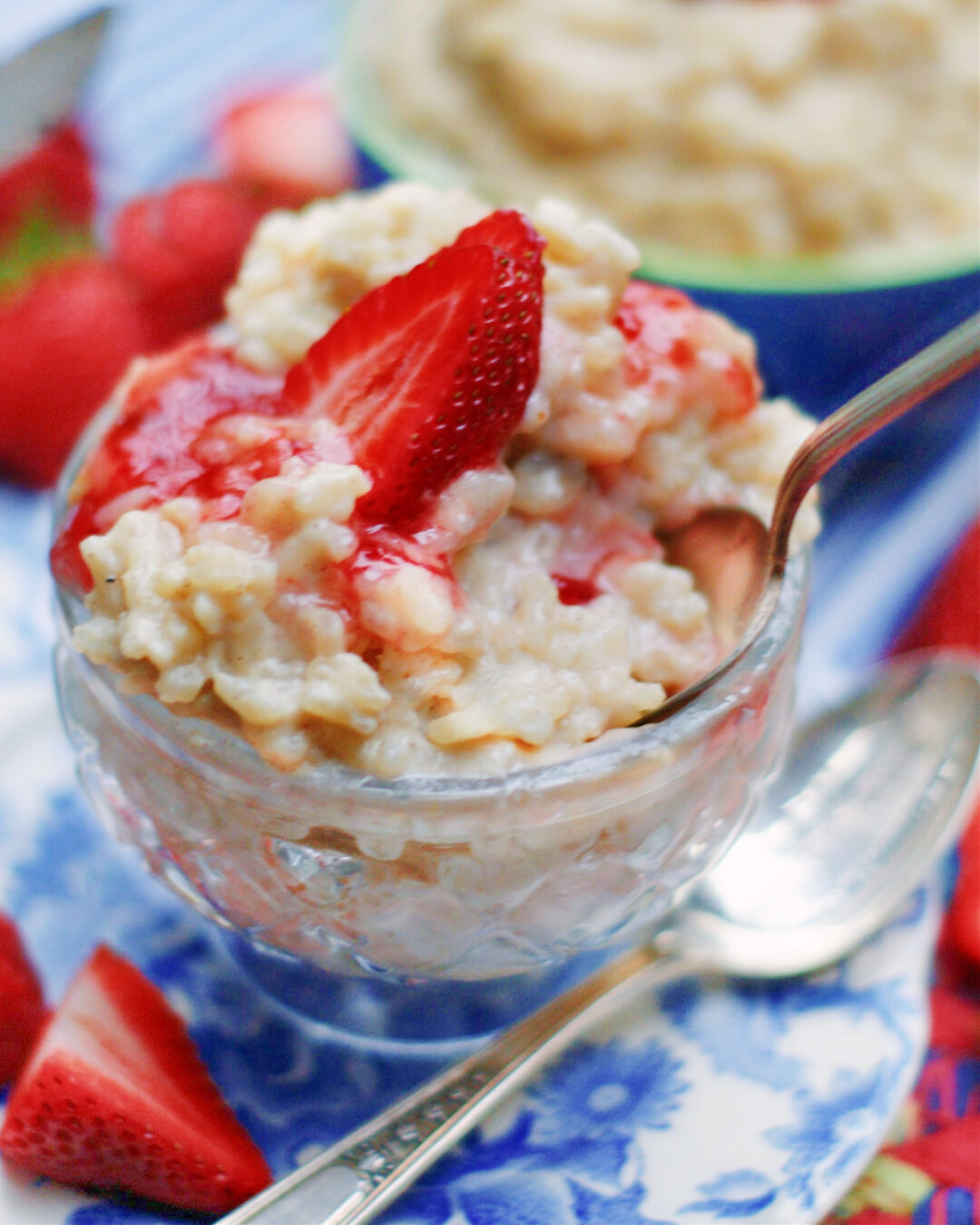 Quick Old Fashioned Rice Pudding - Southern Discourse