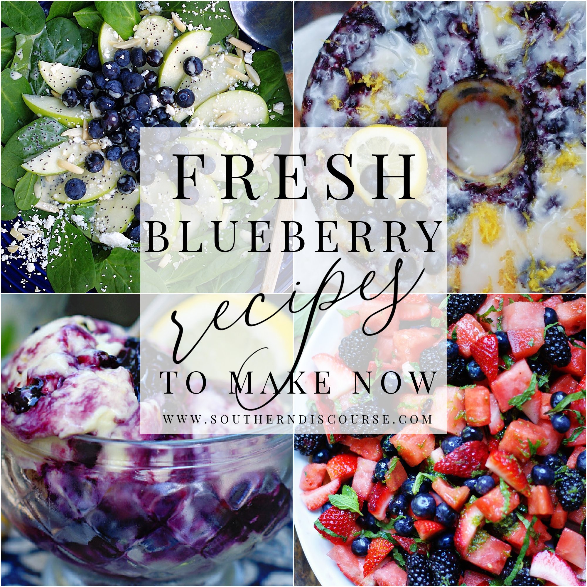 Fresh Blueberry Recipes To Make - Southern Discourse