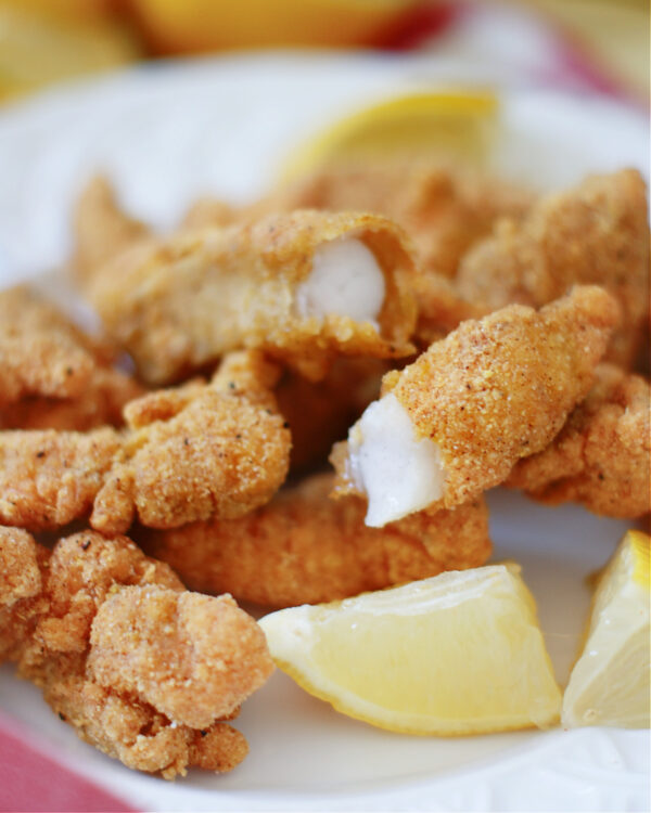 Homemade Cornmeal Fish Fry Mix - Southern Discourse