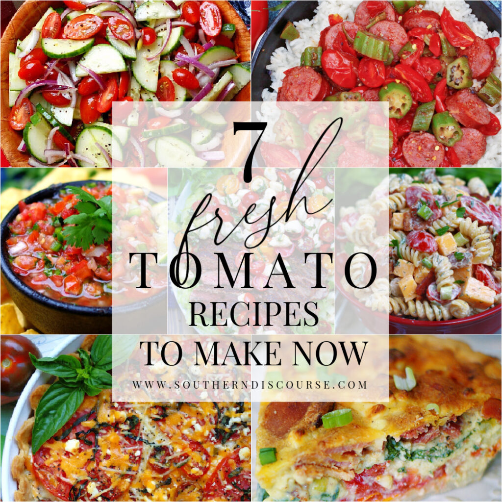 7 Fresh Tomato Recipes To Make Now - Southern Discourse