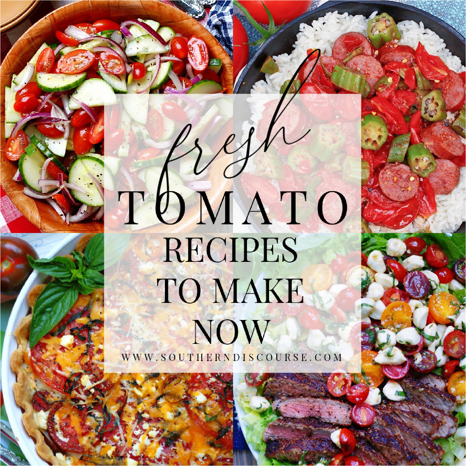 Fresh Tomato Recipes To Make Now - Southern Discourse
