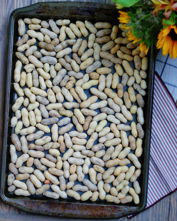 Easy Roasted Peanuts in the Shell - Southern Discourse