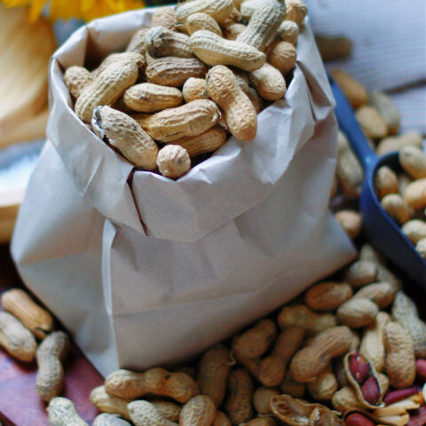 Easy Roasted Peanuts in the Shell - Southern Discourse