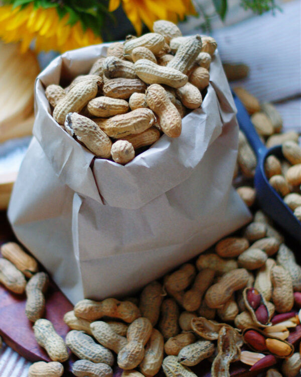 Easy Roasted Peanuts in the Shell - Southern Discourse