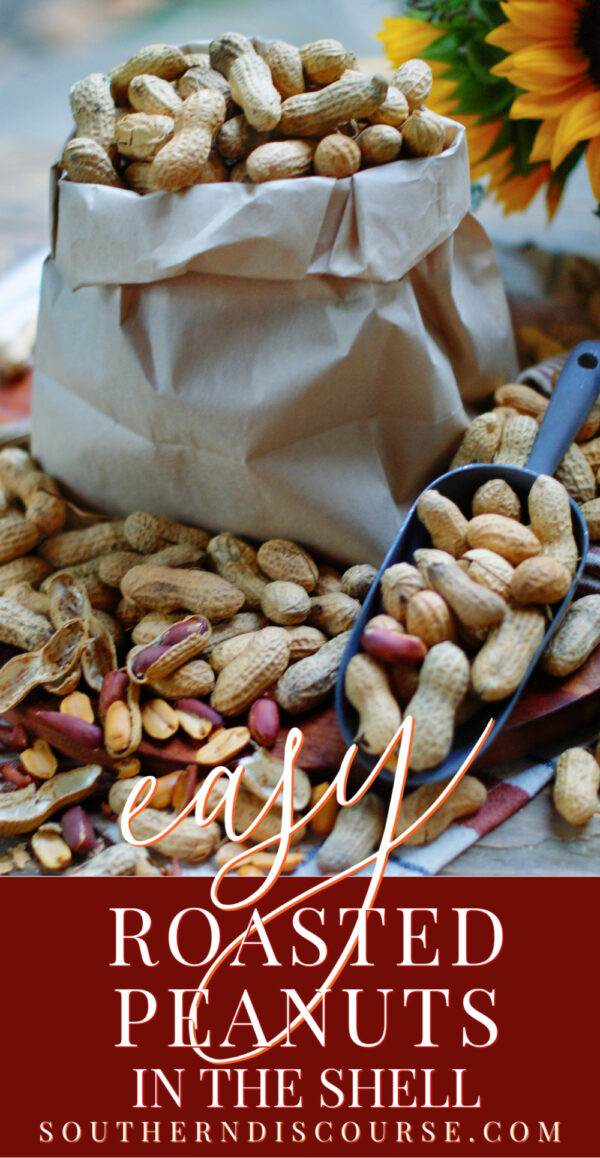 Easy Roasted Peanuts in the Shell - Southern Discourse