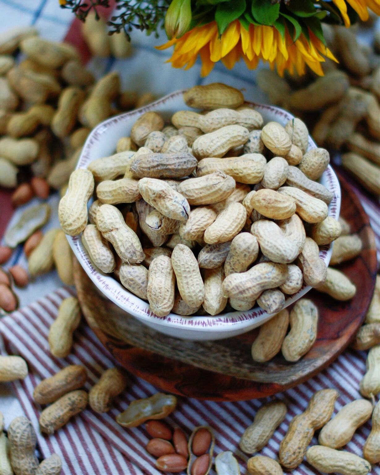 Easy Roasted Peanuts in the Shell - Southern Discourse