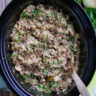 Easy Crock Pot Dirty Rice - Southern Discourse