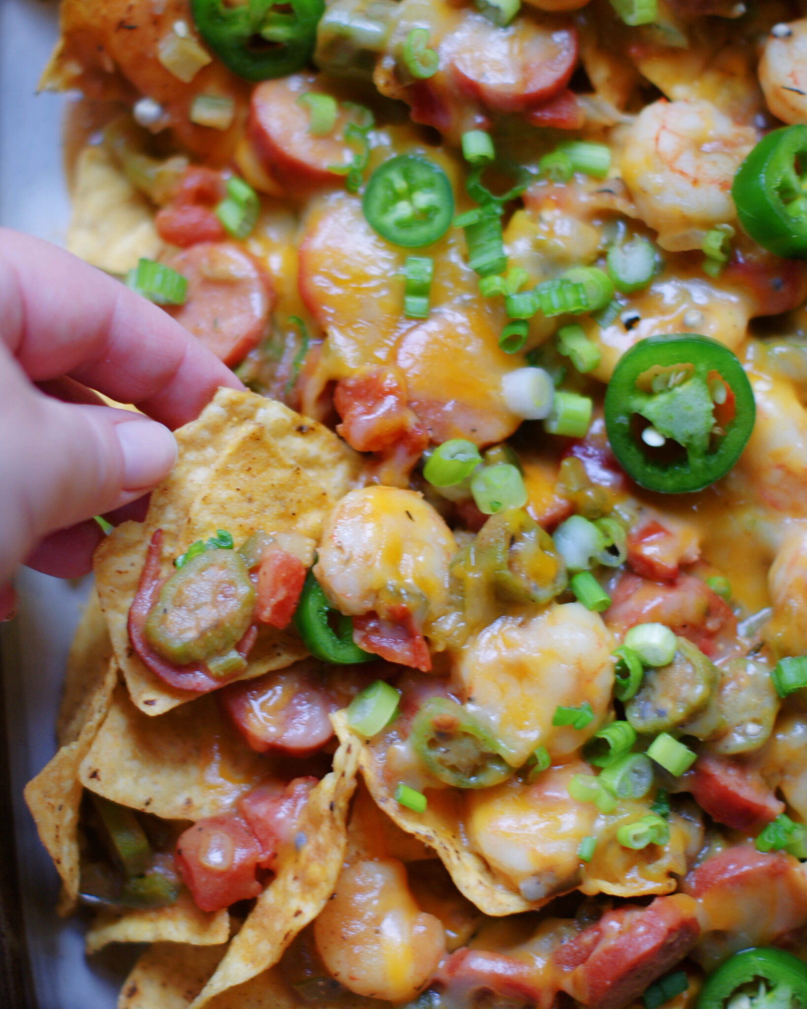 Louisiana Gumbo Nachos - Southern Discourse
